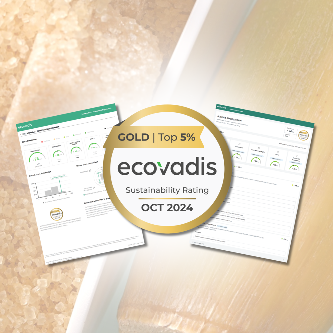 EcoVadis Sustainability Rating